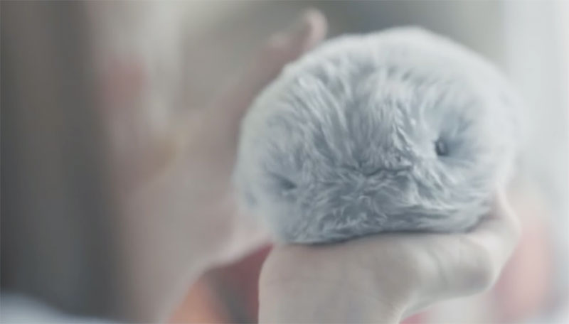 VIDEO: Moflin la mascota de Inteligencia Artificial que querrás conocer